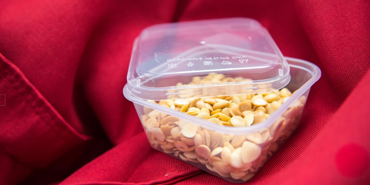 Disposable Plastic Container – Ourgreenfactory